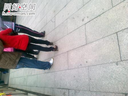 我的相册 - SiwaMAN - Powered by Discuz!